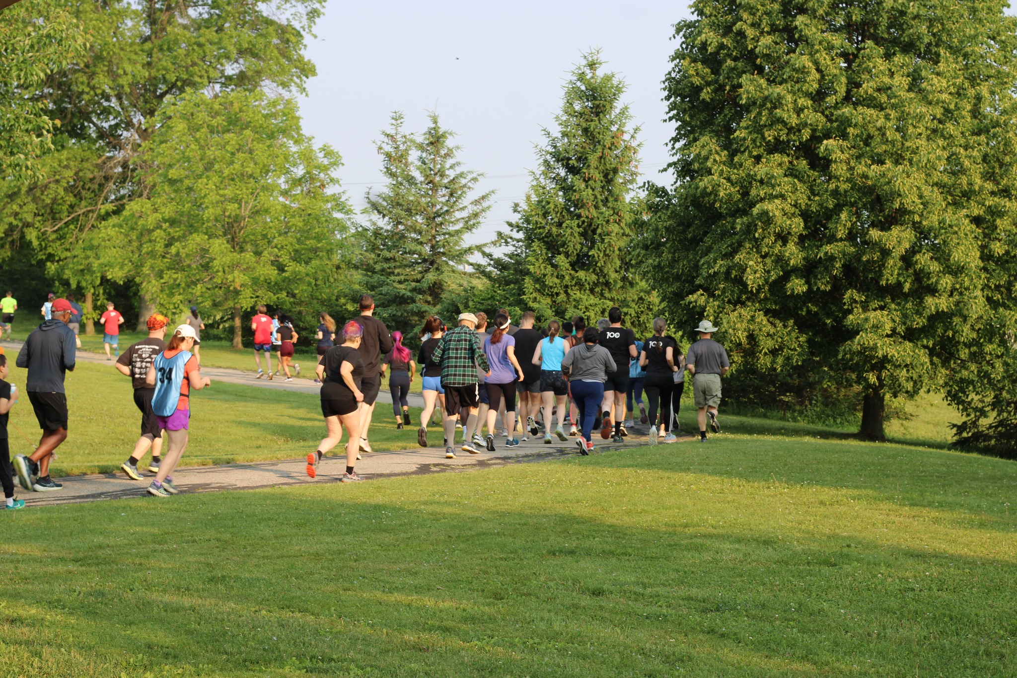 06/07/2025: Lillie parkrun #285: Green Scenes and Milestone Queens ...