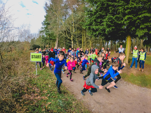 Birches Valley junior parkrun Event #8 – 10 March 2019 | Cannock Chase ...