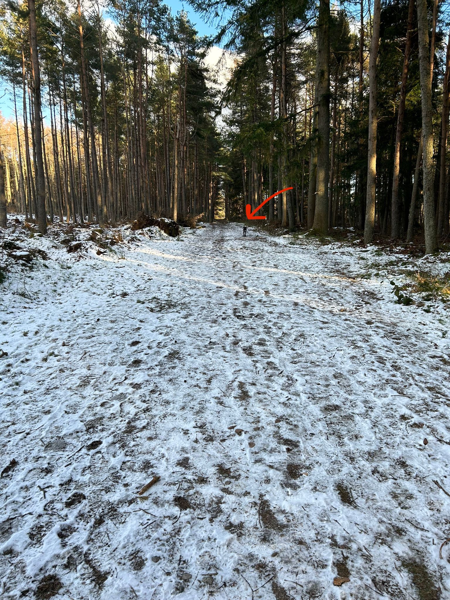 (106) Stunning early Spring morning | Crathes Castle parkrun