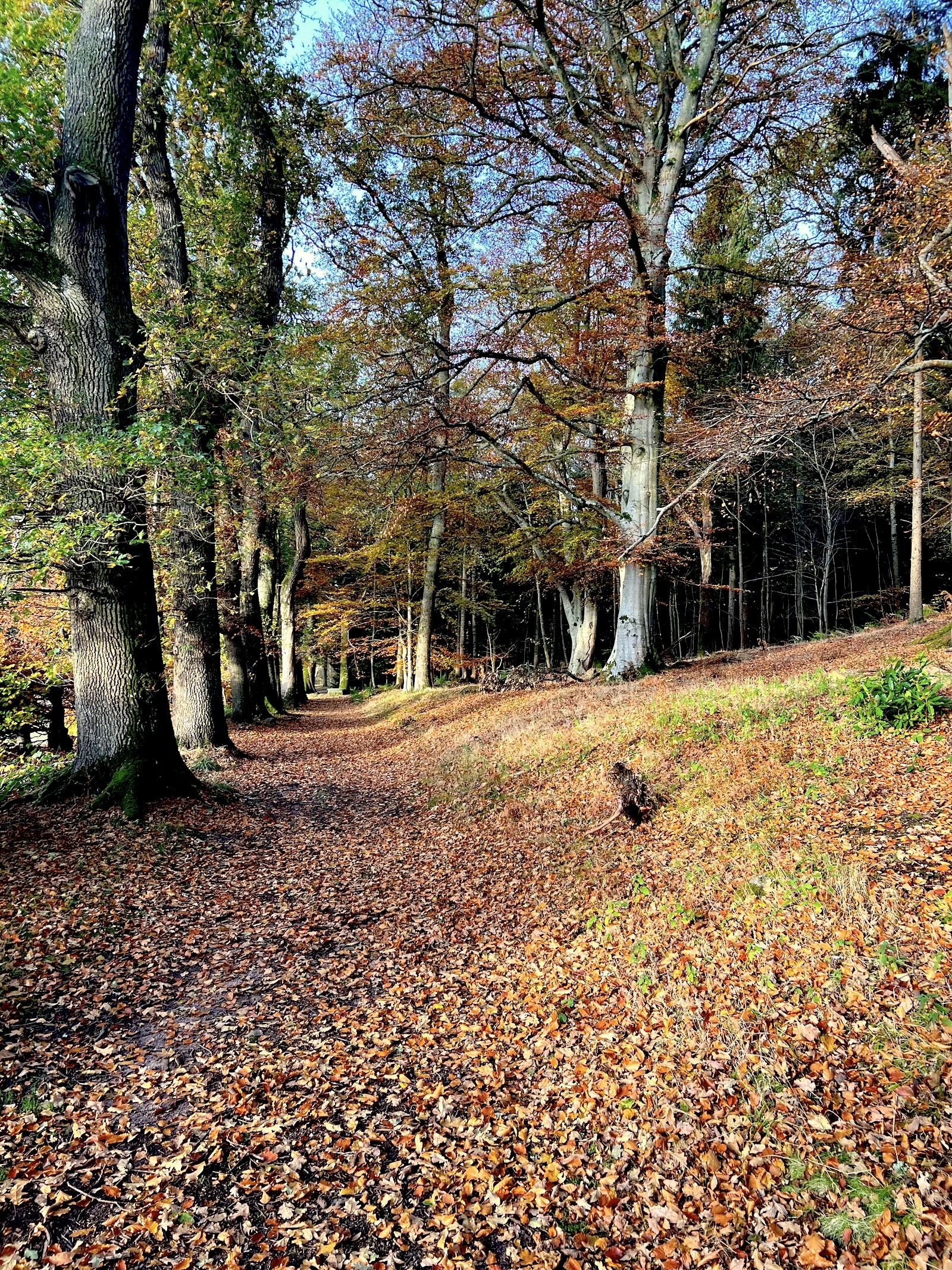 (184) Light blue touch paper | Crathes Castle parkrun
