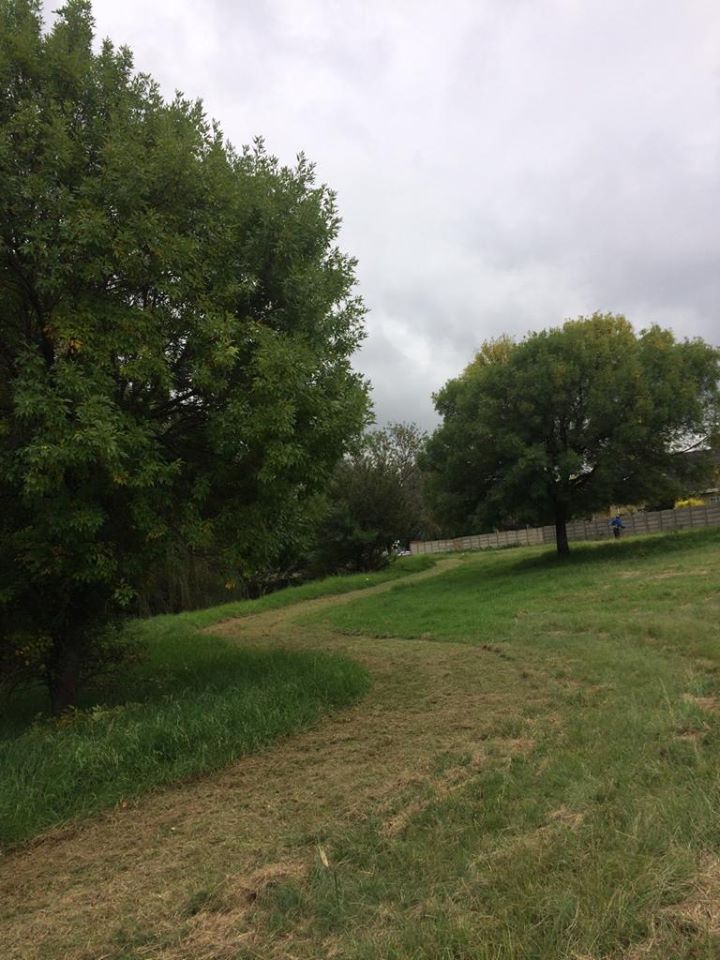 Behind The Scenes | Homestead Lake parkrun