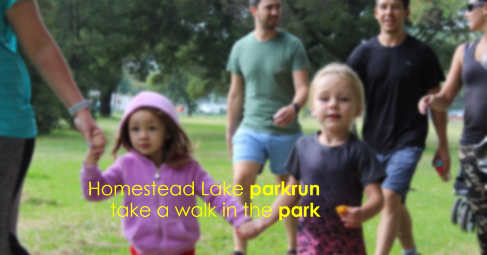 #TakeAWalkInTheParkDay | Homestead Lake parkrun
