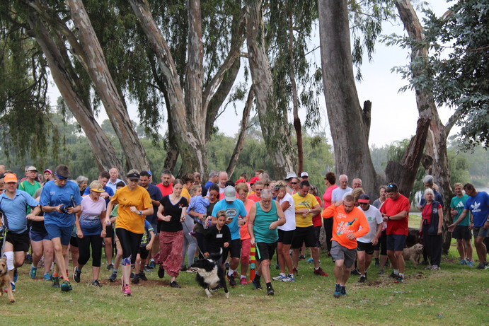 Run Report #002 | Homestead Lake parkrun