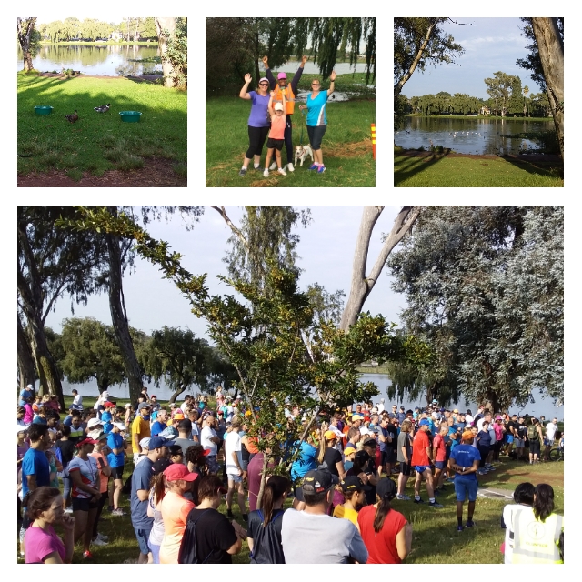 Run Report #003 | Homestead Lake parkrun