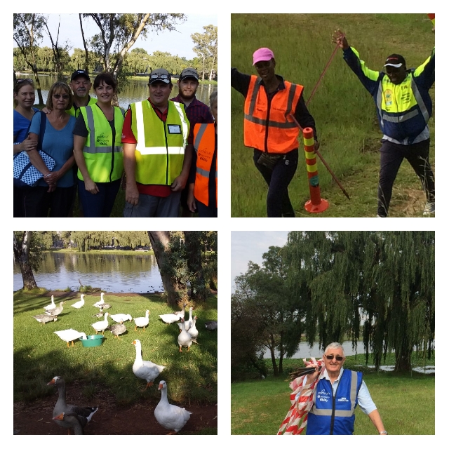 Run Report #003 | Homestead Lake parkrun