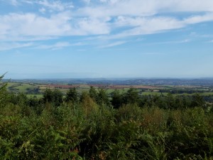 Haldon Forest Parkrun #160 Event Report September 23rd 2023 – Thank you ...