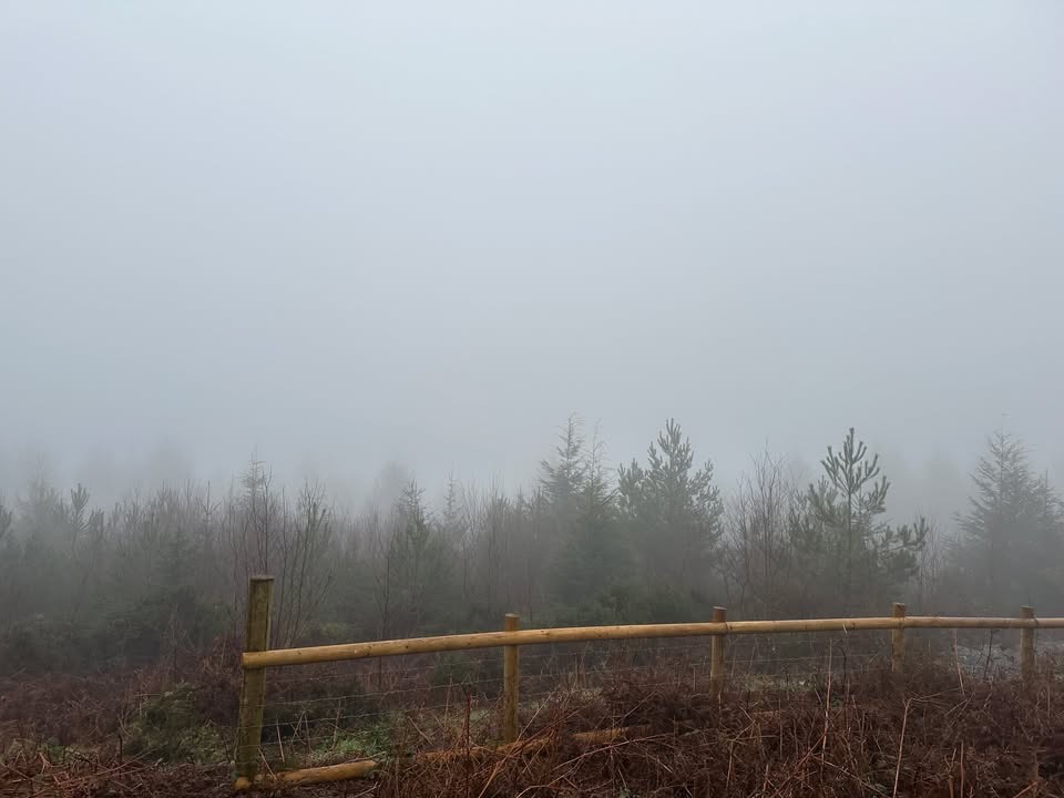 The last parkrun of 2024 part 1 – thank you Debbie | Haldon Forest parkrun