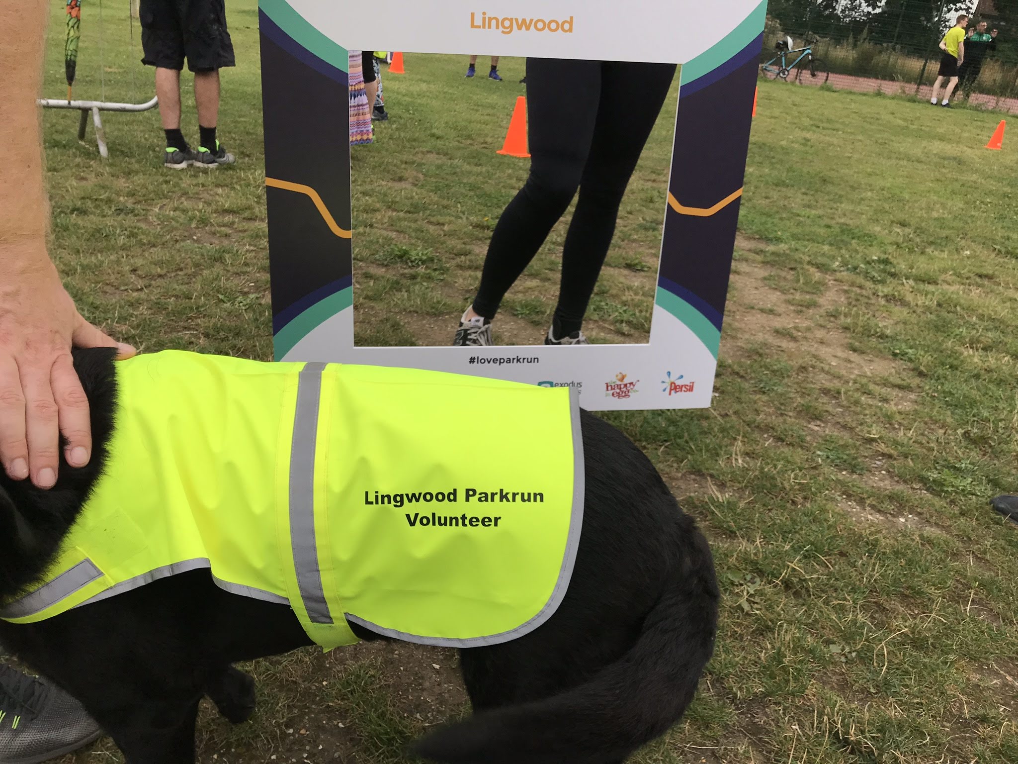 Volunteering at parkrun really is great fun | Lingwood parkrun
