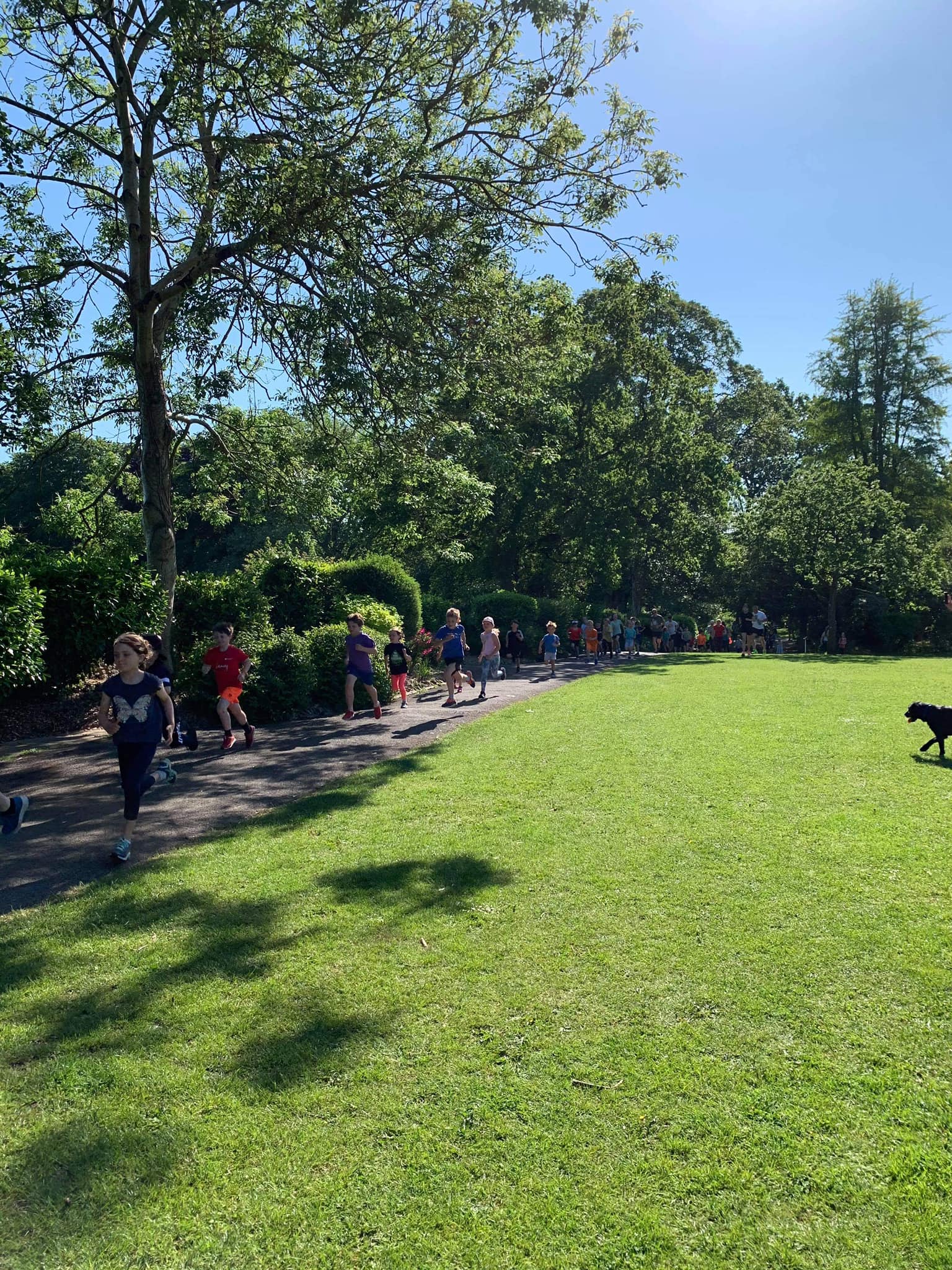 Flifty Flirst Collet Park junior parkrun | Collett Park junior parkrun