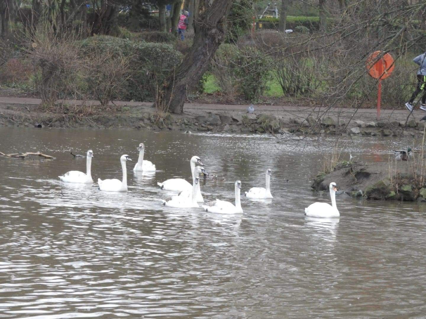 Redcar parkrun No 439 | Redcar parkrun