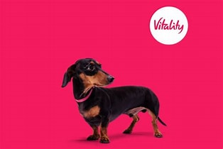 A chance to win Stanley the dog | Riverside parkrun