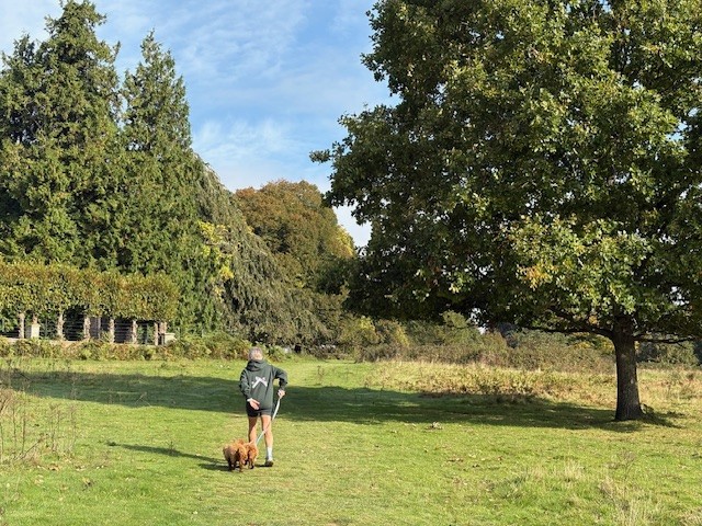Uckfield parkrun, Event number 268, 27th September 2025 by Alison ...