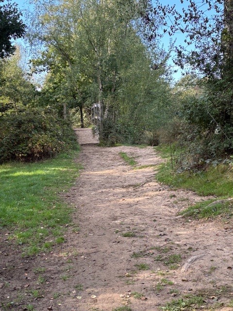 Uckfield parkrun, Event number 268, 27th September 2025 by Alison ...