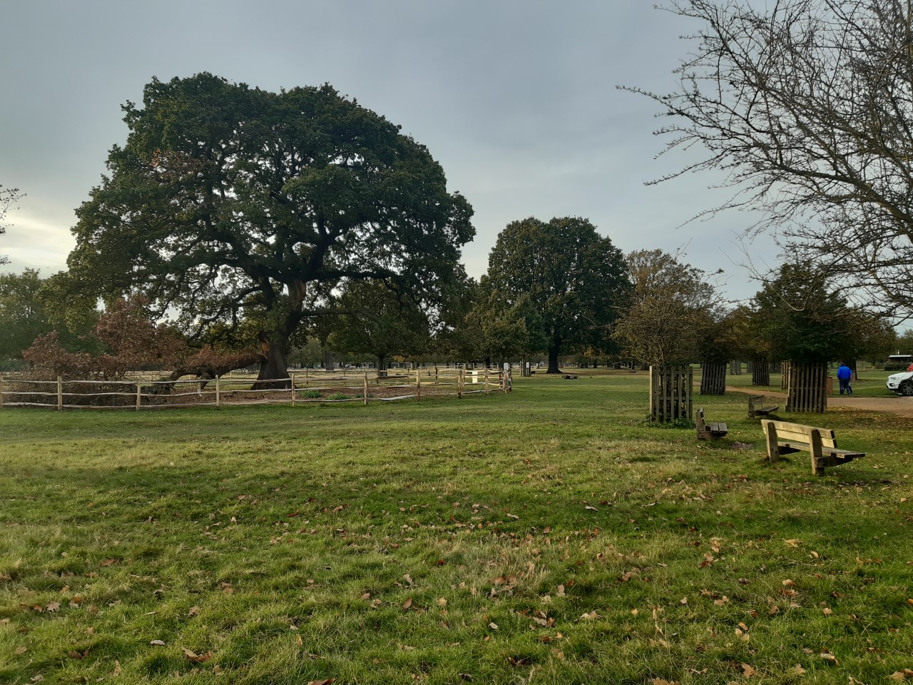 Run Report Event No 850 – 6 November 2021 | Bushy parkrun