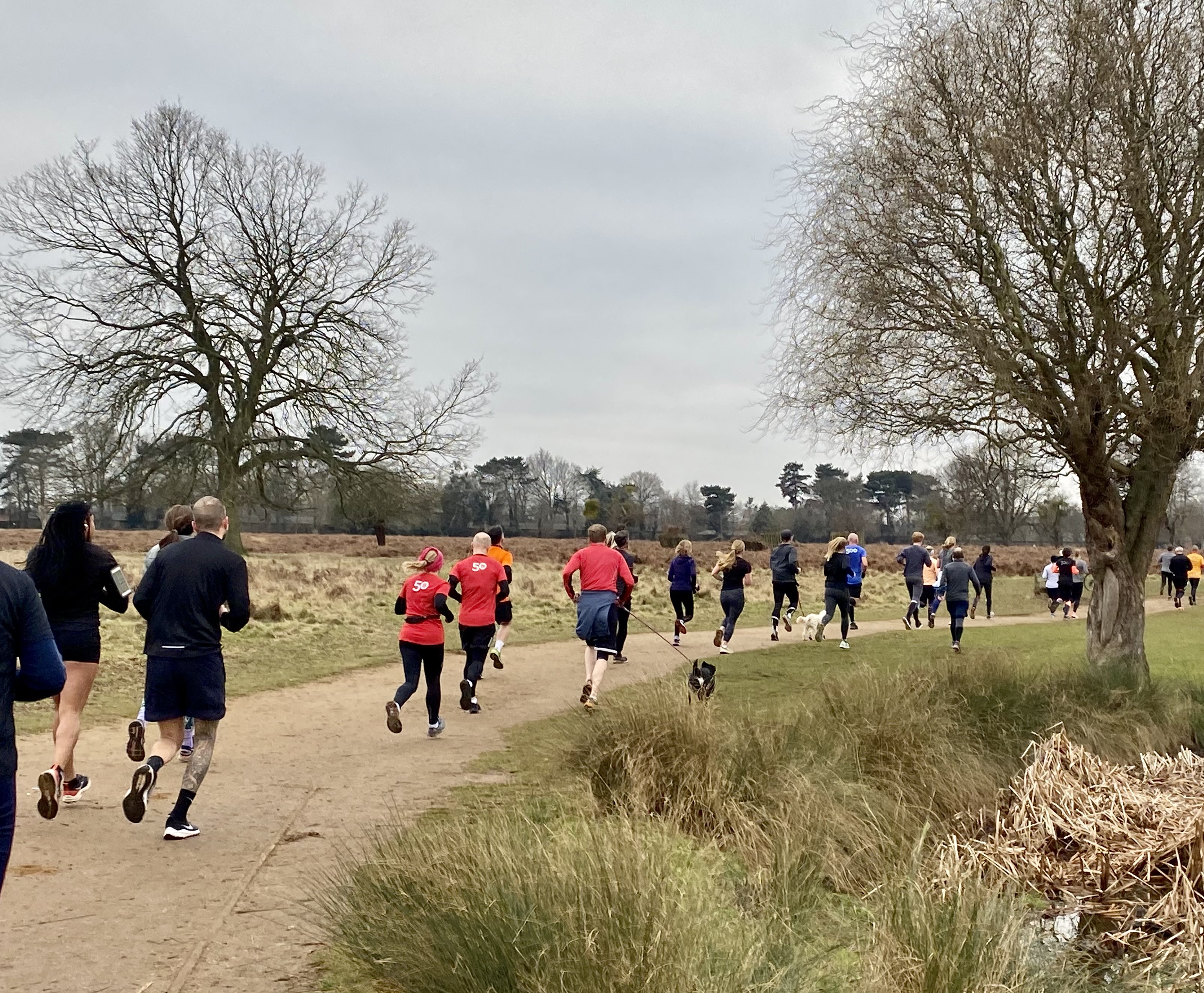 Run Report Event No 861 – 22 January 2022 | Bushy parkrun