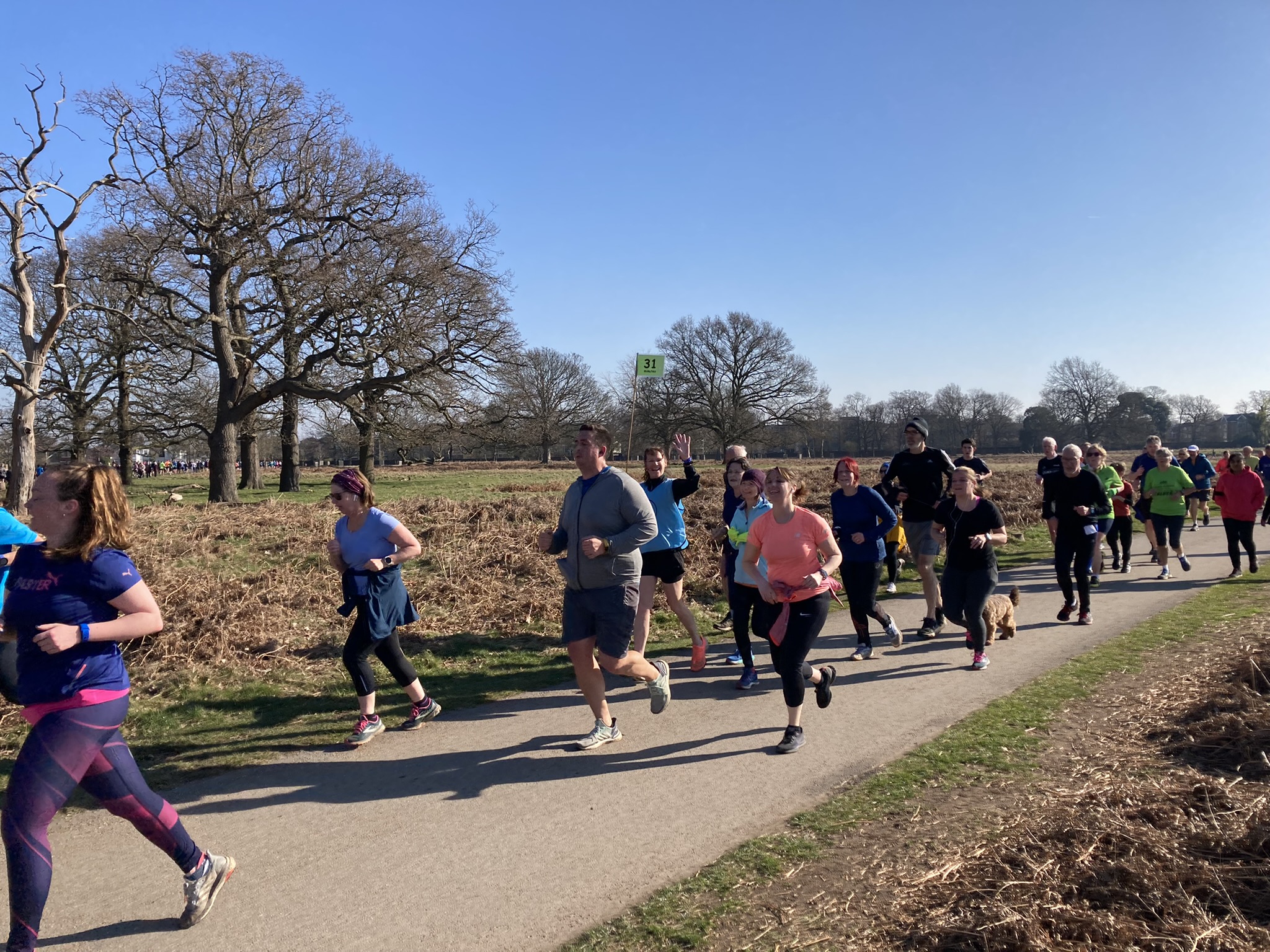 news | Bushy parkrun