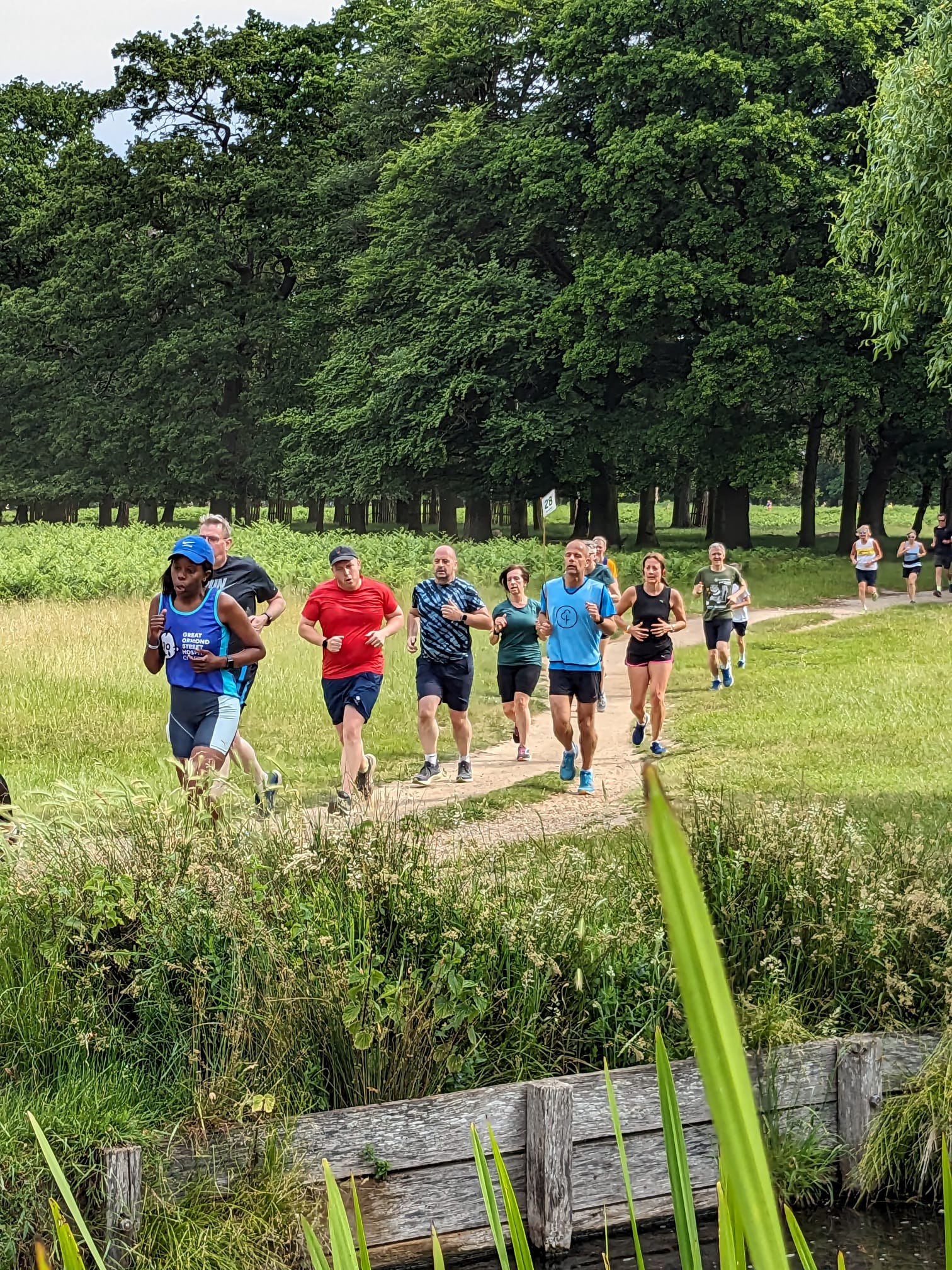 Report Event No 935 – 17 June 2023 | Bushy parkrun
