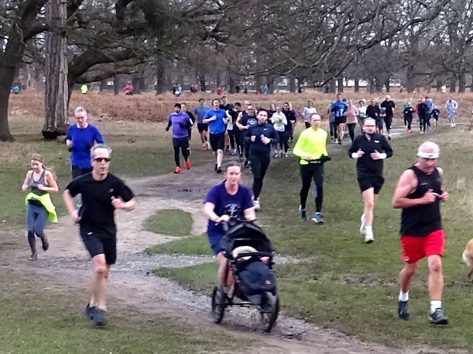 Event Report No 965 – New Year’s Day 2024 | Bushy parkrun