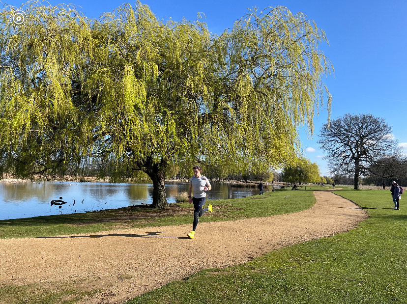 Event Report No 976 – 16 March 2024 | Bushy parkrun