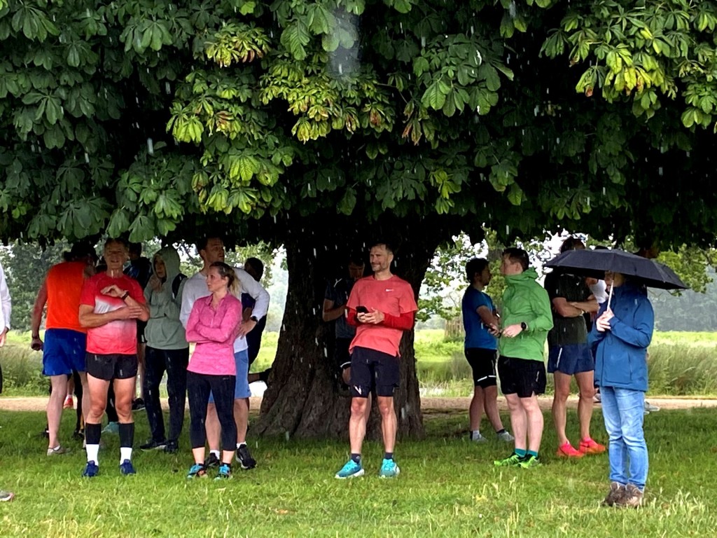 Event Report No 989 – 15 June 2024 | Bushy parkrun