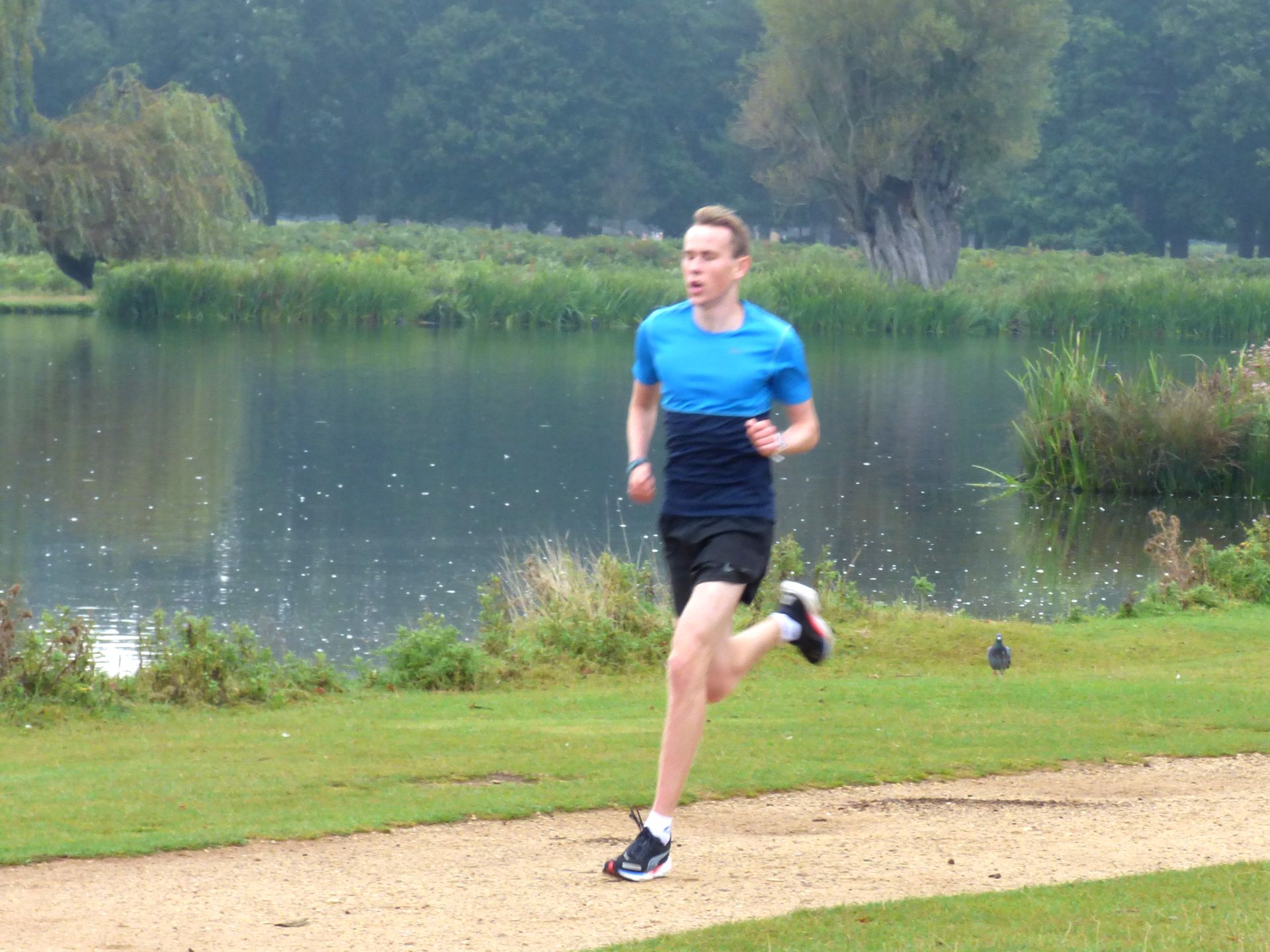 news | Bushy parkrun