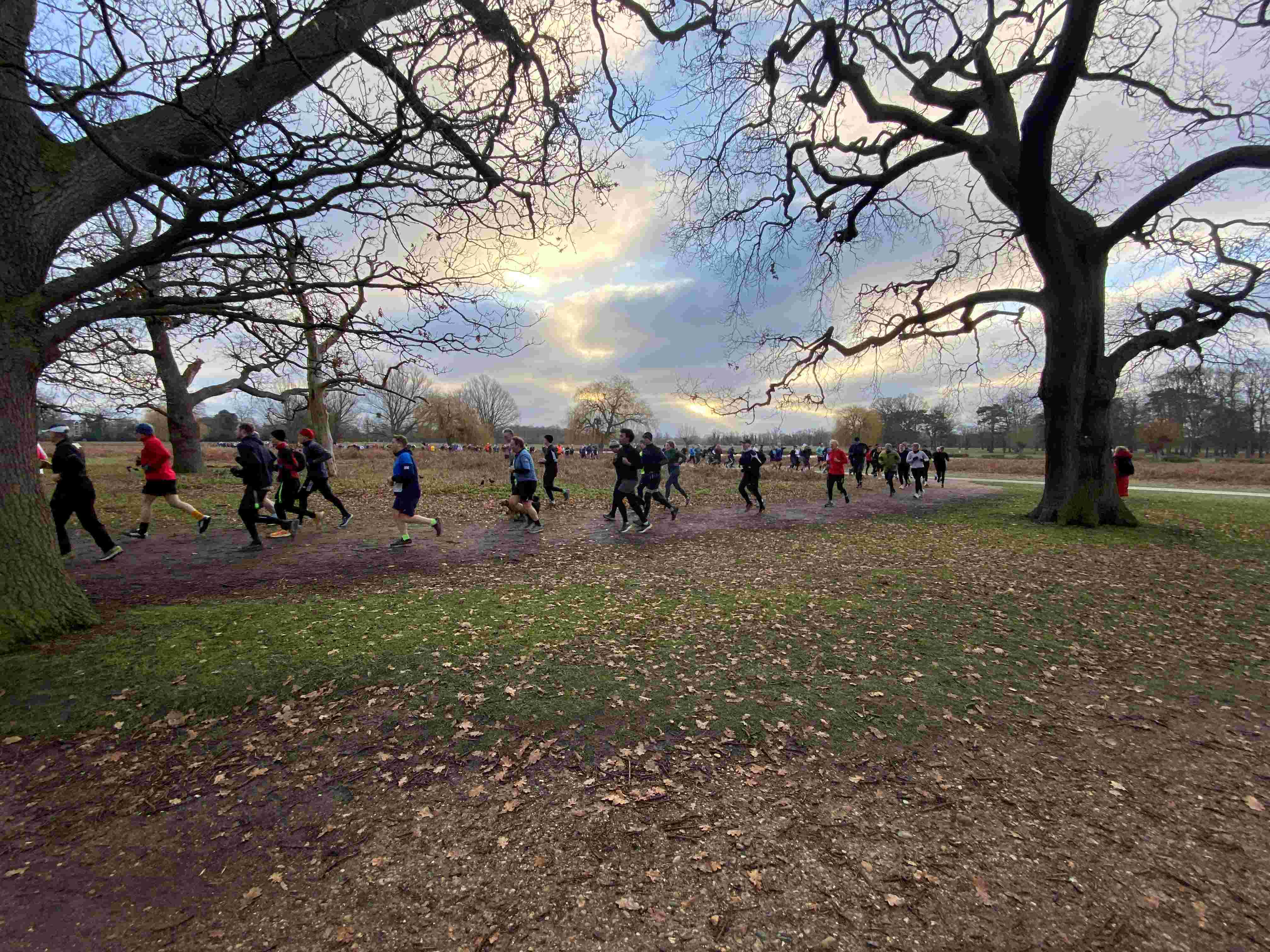 Event Report No 1072 – 10 January 2026 | Bushy parkrun