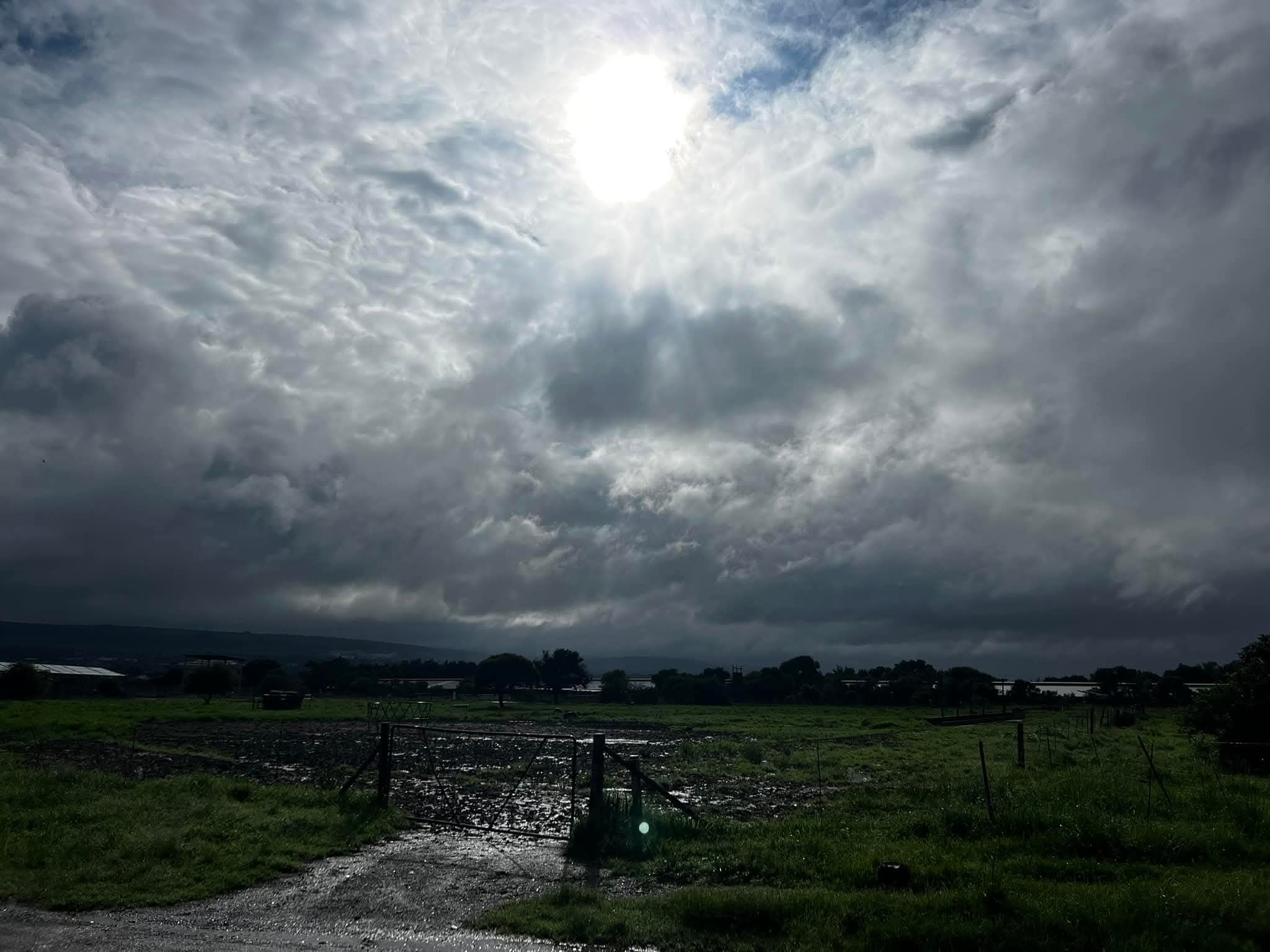 Hazeldean Farm parkrun 2025 | Hazeldean Farm parkrun