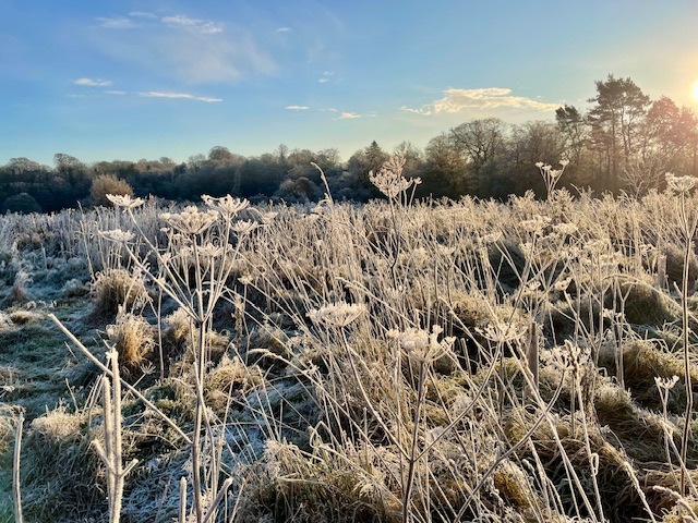 Conyngham Hall parkrun #159 – The one where volunteers lost all feeling ...