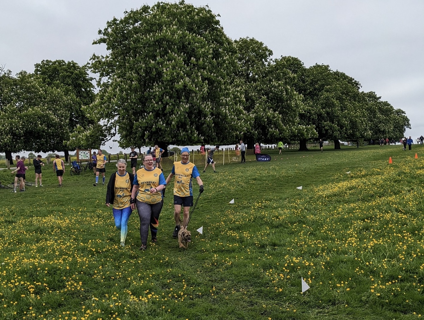 Event #124 – The Westwood Turns Yellow! | Beverley Westwood parkrun