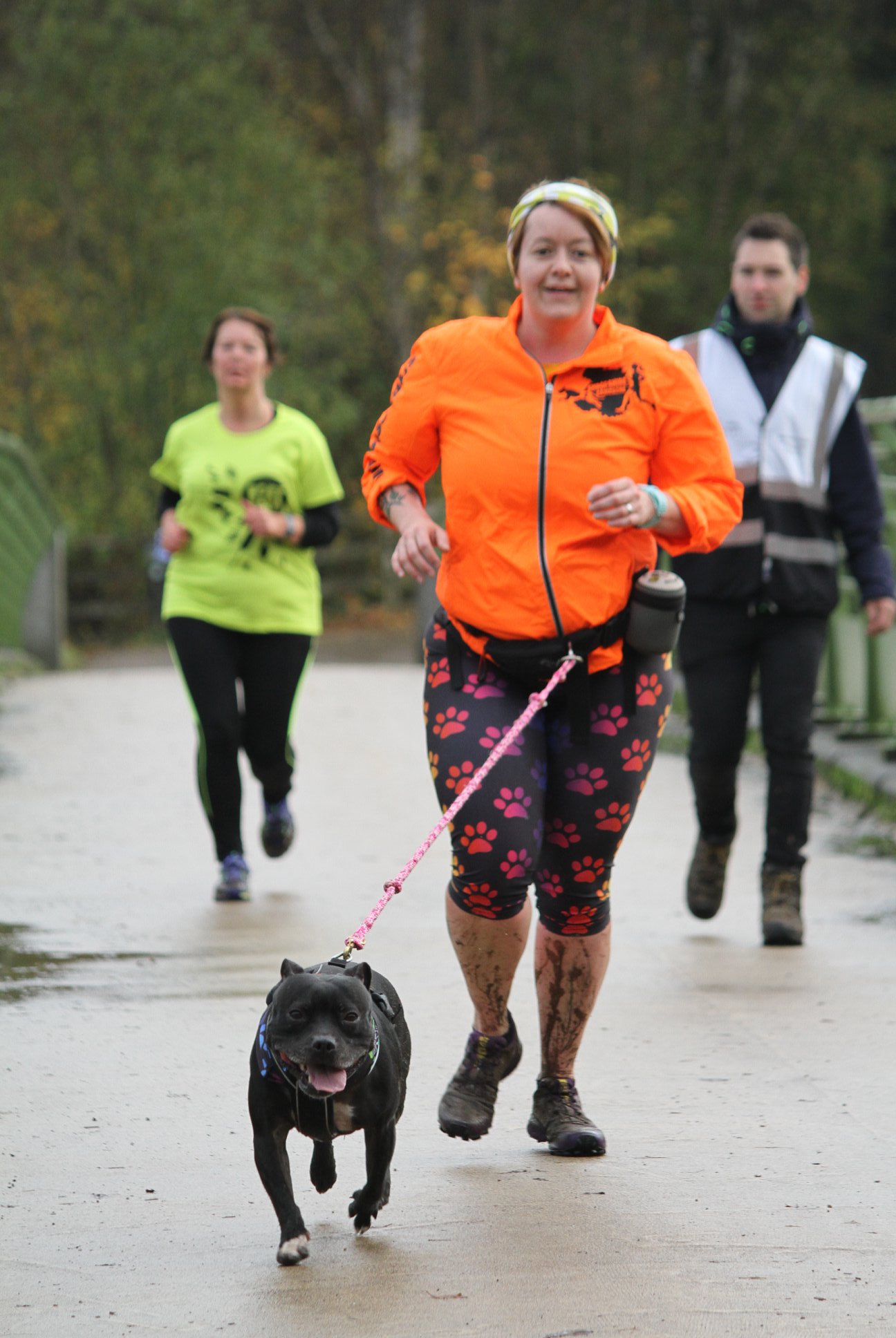 #18 – 16/11/19 – A dog’s eye view of barkrun | Severn Valley Country ...
