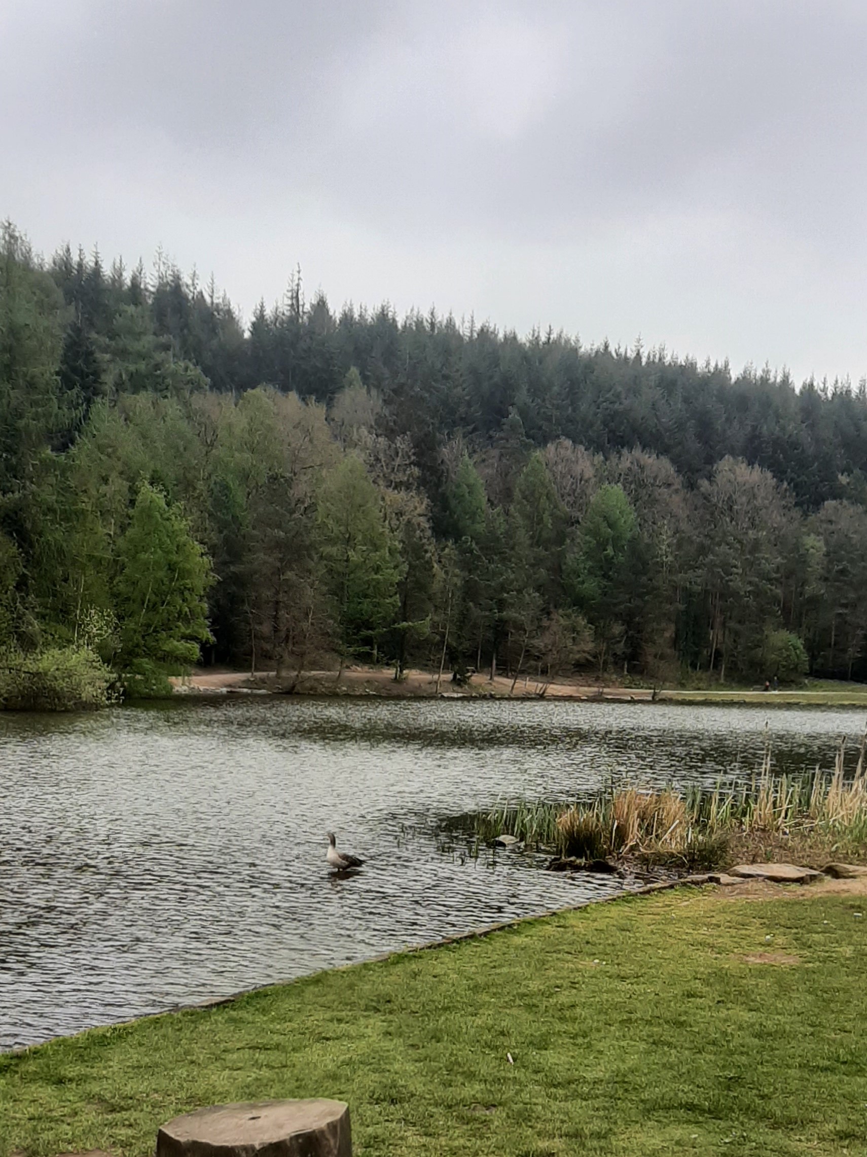 Event #55 Tony’s 50th……run | Mallards Pike parkrun