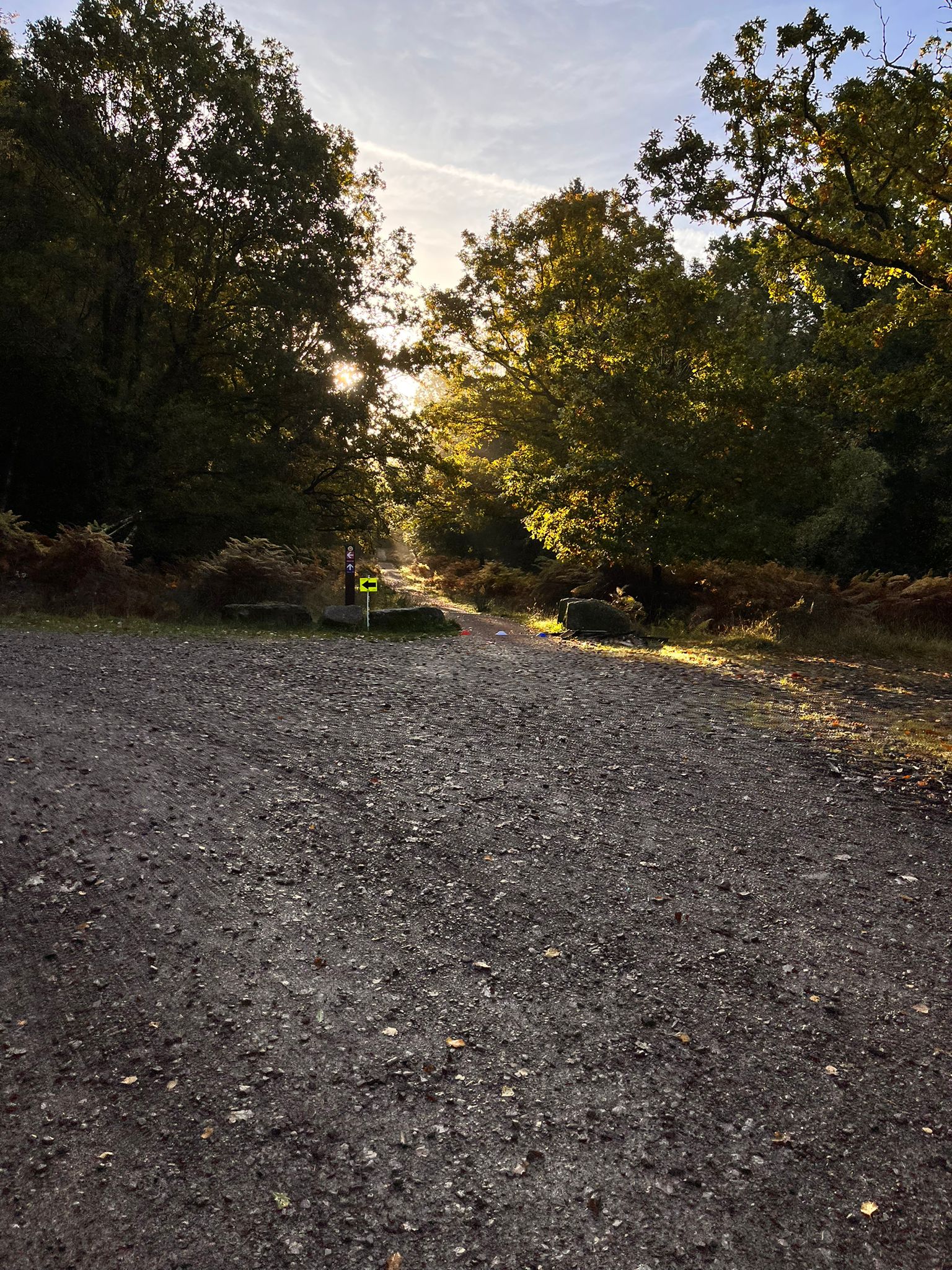 Run report Mallards Pike event #79 by Toni Mallin (Marine Parade ...