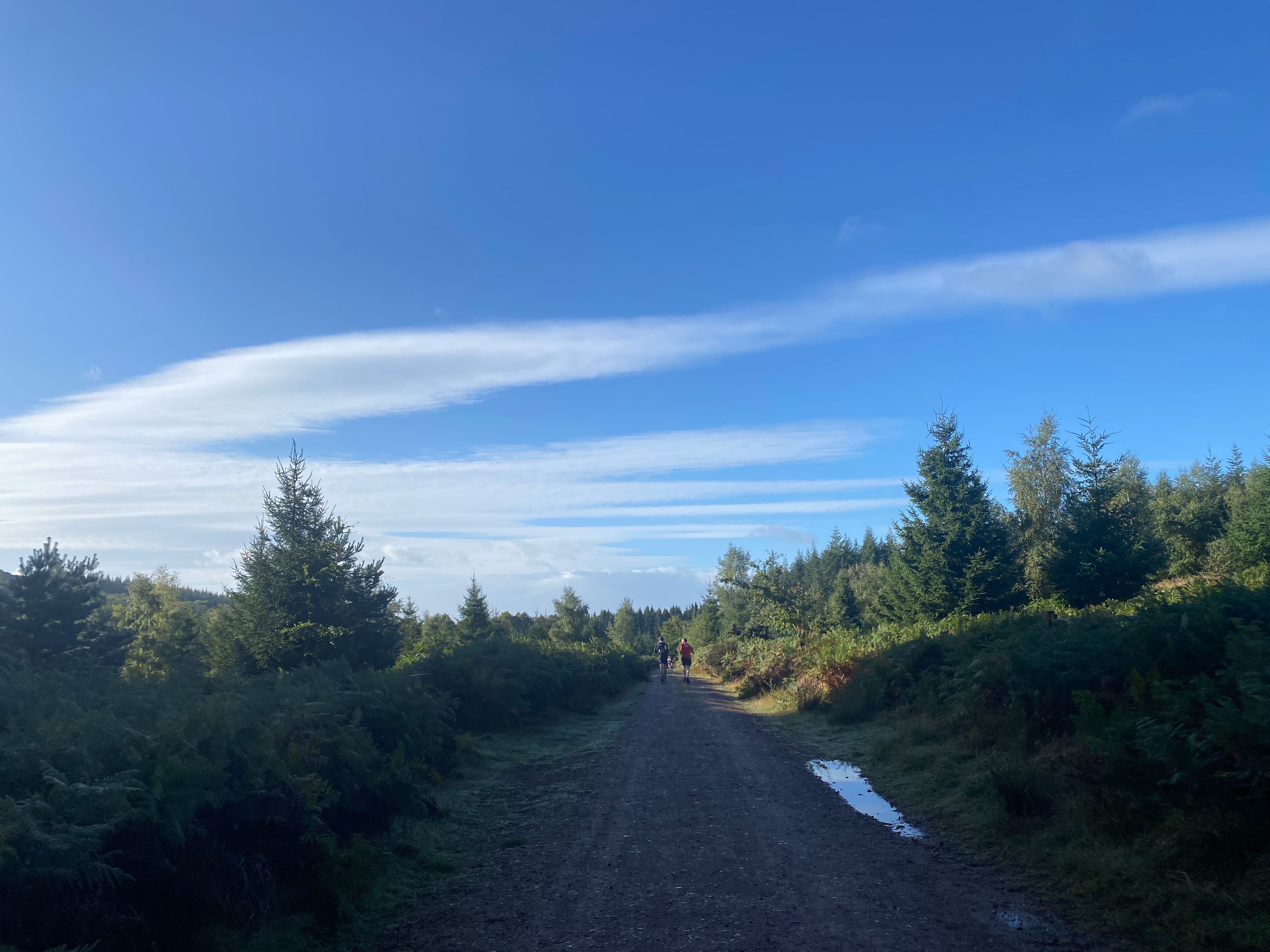 Mallards Pike parkrun #80 by Wilson Index Chaser Lucy Amos (Severn ...