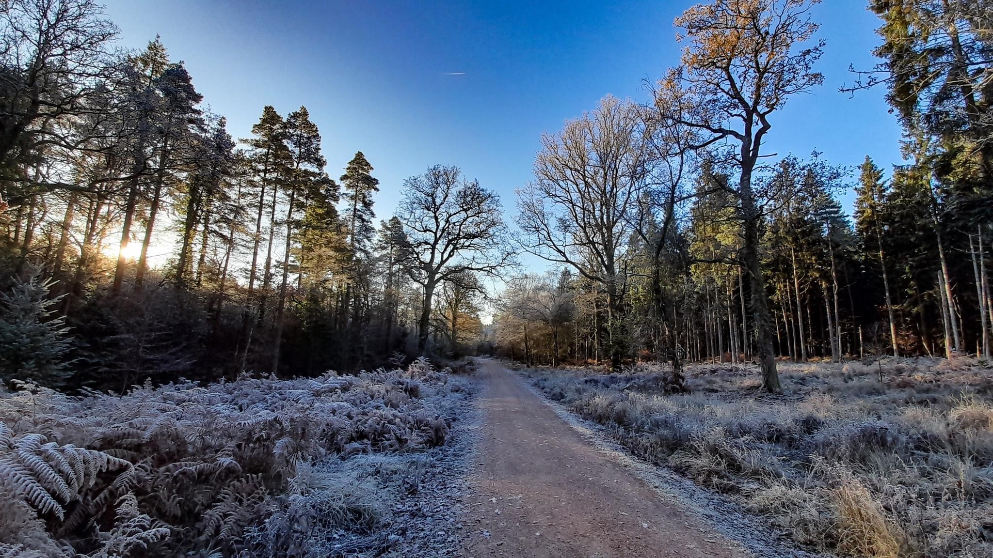 Mallards Pike parkrun #86 – Running in a winter wonderland by Andrew ...