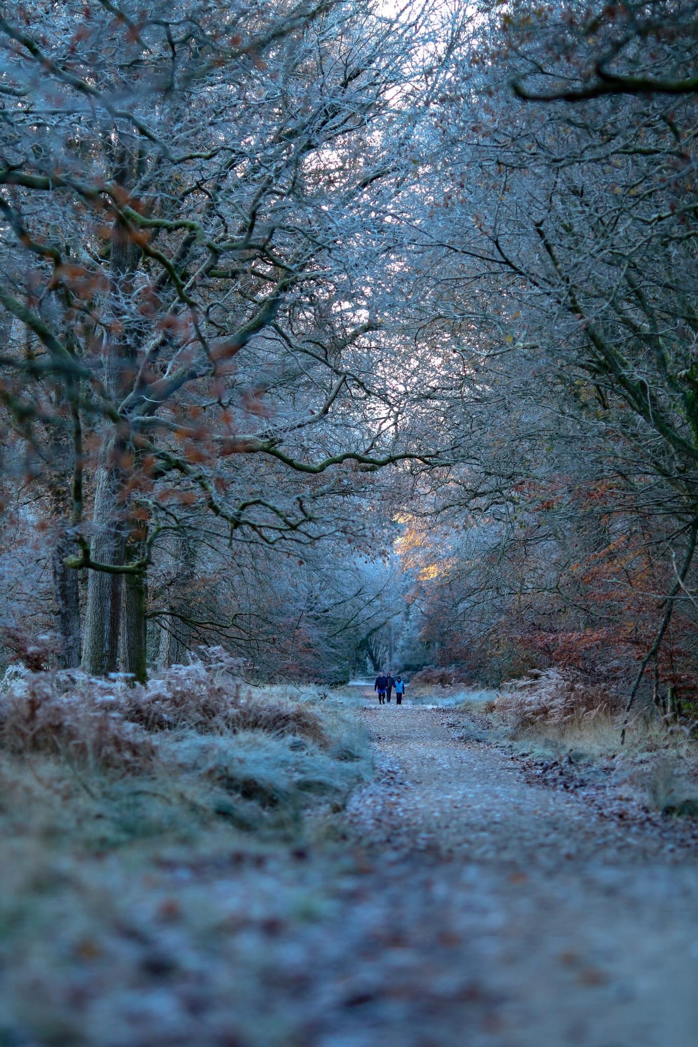 Mallards Pike parkrun #86 – Running in a winter wonderland by Andrew ...