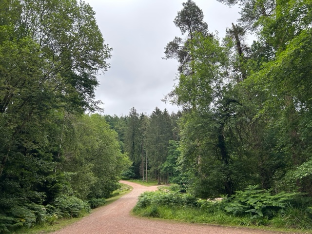 Mallards Pike event #112 by Sally Patterson (Tetbury Goods Shed parkrun ...
