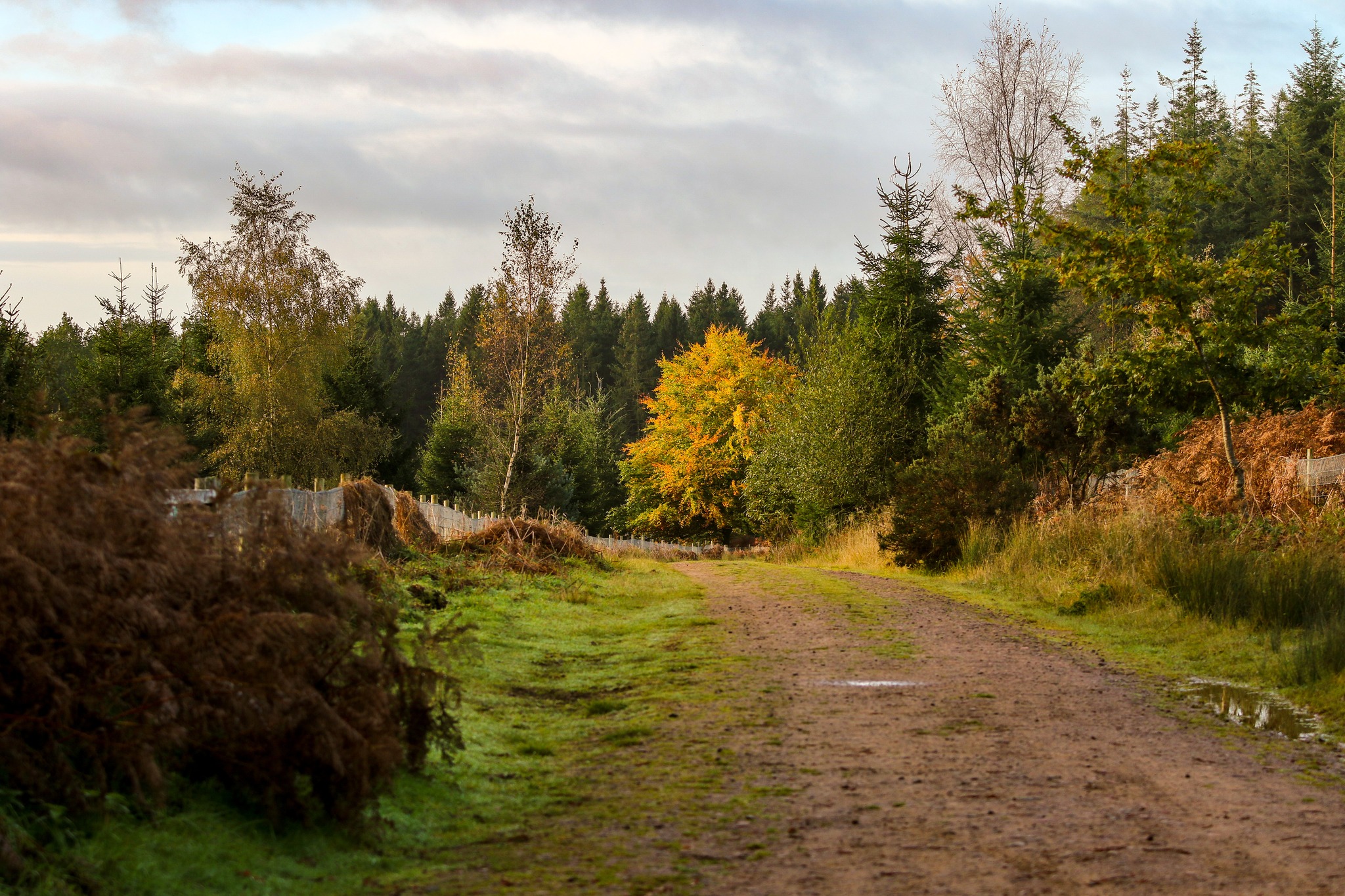 Mallards Pike event #130 by Martyn Clarke (Gedling parkrun) | Mallards ...