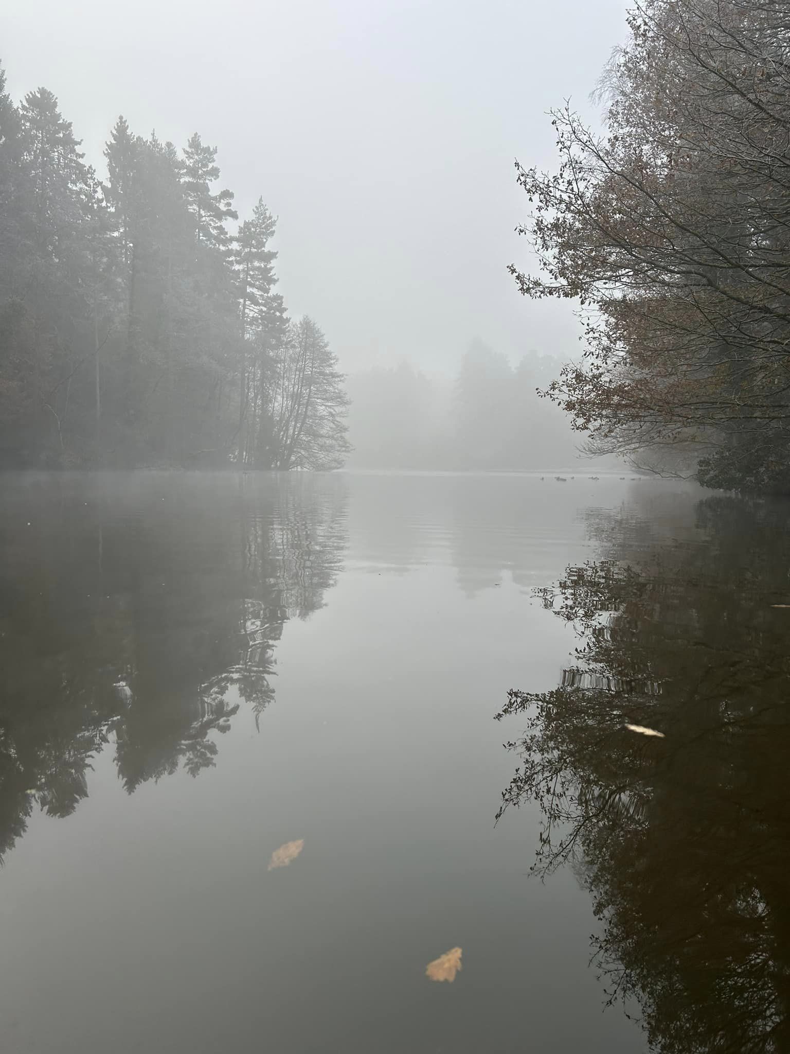 Mallards Pike parkrun event #134 – -3°C but that didn’t stop us by ...