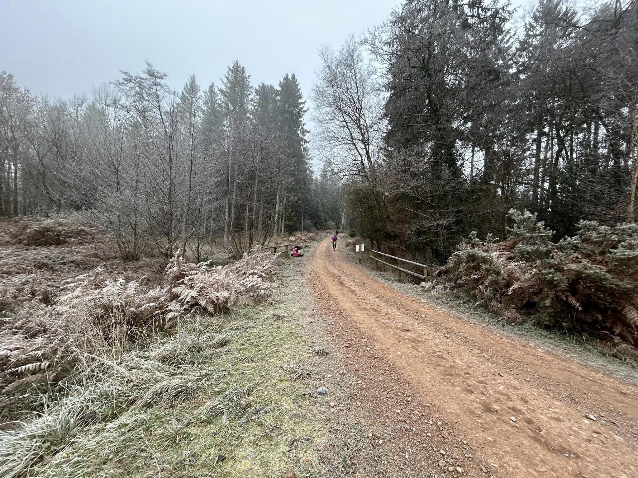 Mallards Pike parkrun #135 – A Pleasant Surprise by Steve Phelps ...