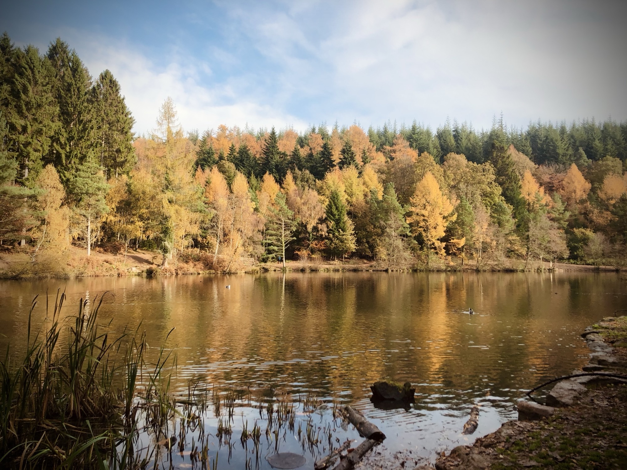 Mallards Pike event #164 by Jane Woolley (Cheltenham parkrun ...