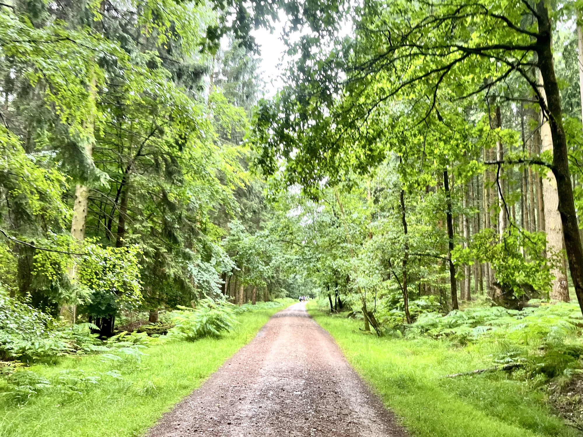 Mallards Pike event #164 by Jane Woolley (Cheltenham parkrun ...