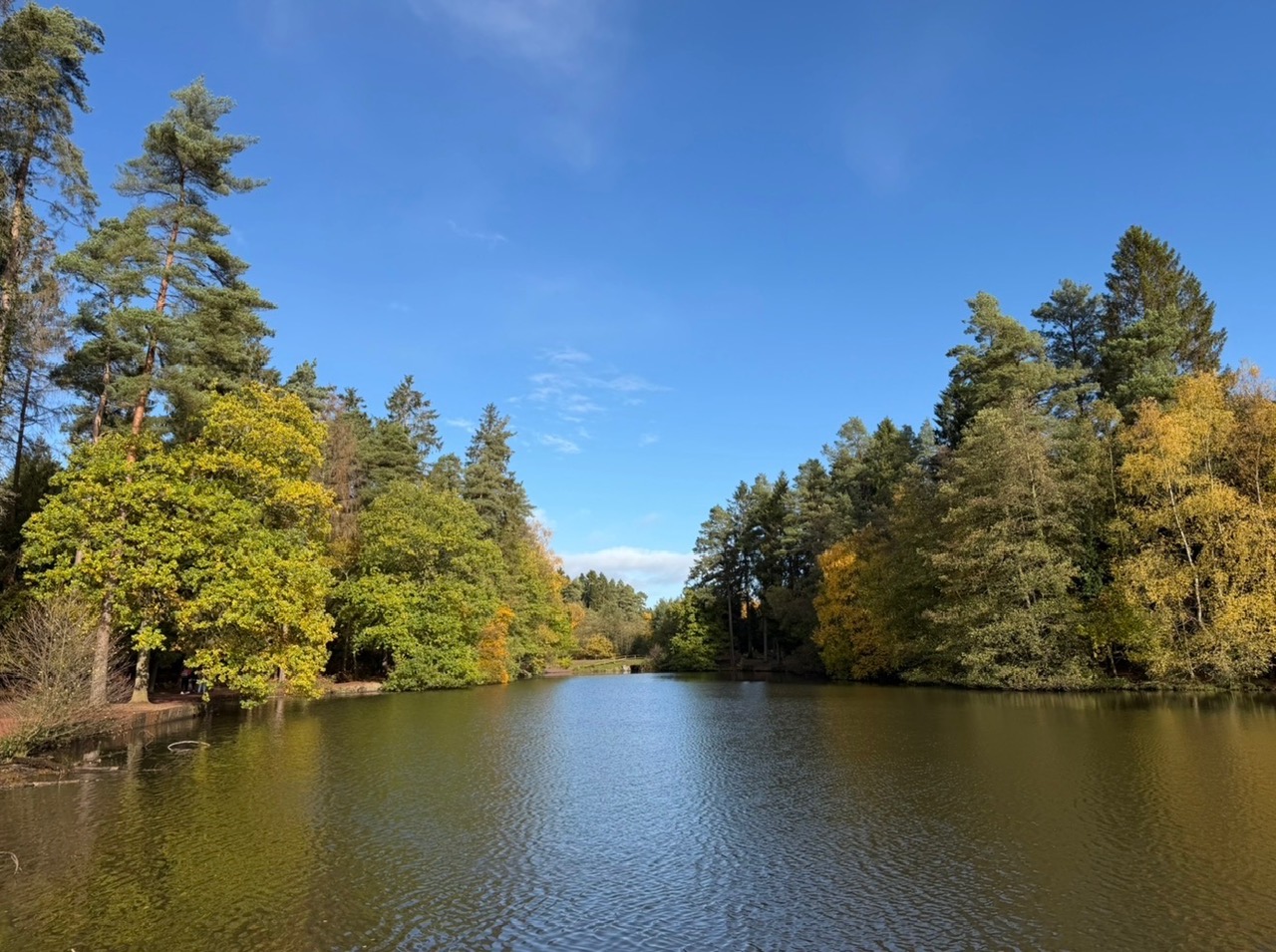 Mallards Pike parkrun event number 228 by Chanelle Draper | Mallards ...