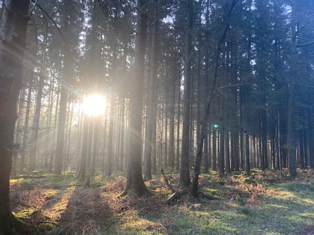 Mallards Pike parkrun number 227 Run Report by Laura Richards ...