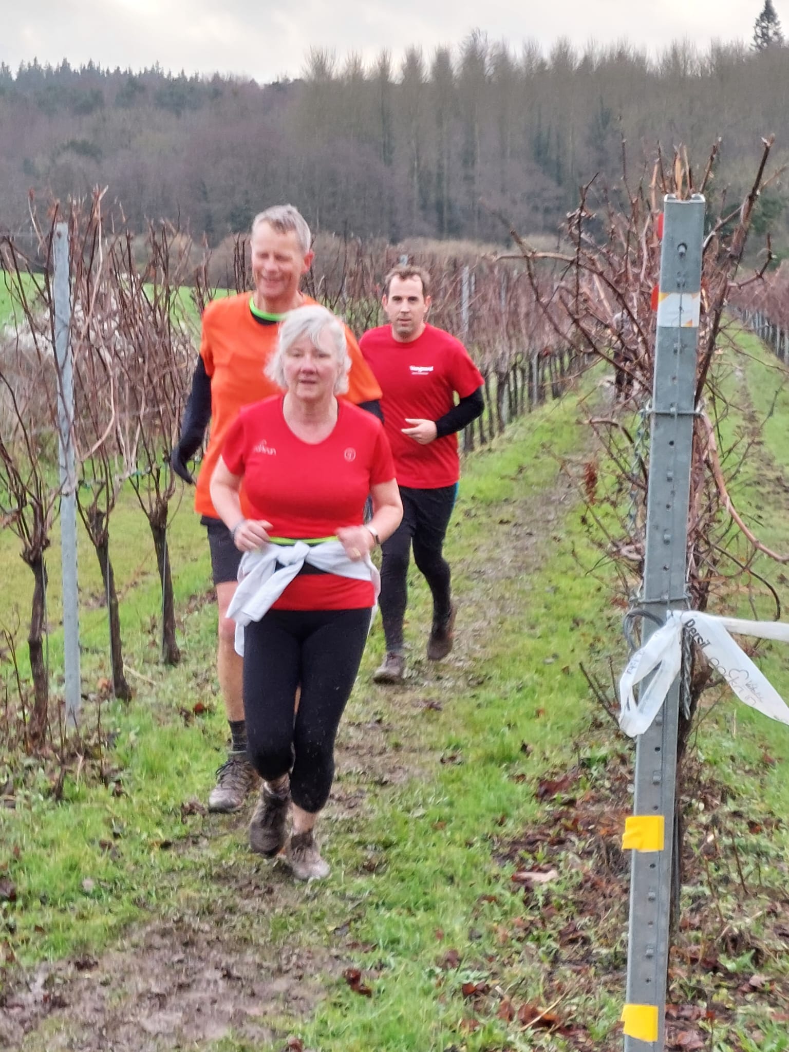 Event 99, New Year’s Day 2023 | Squerryes Winery parkrun