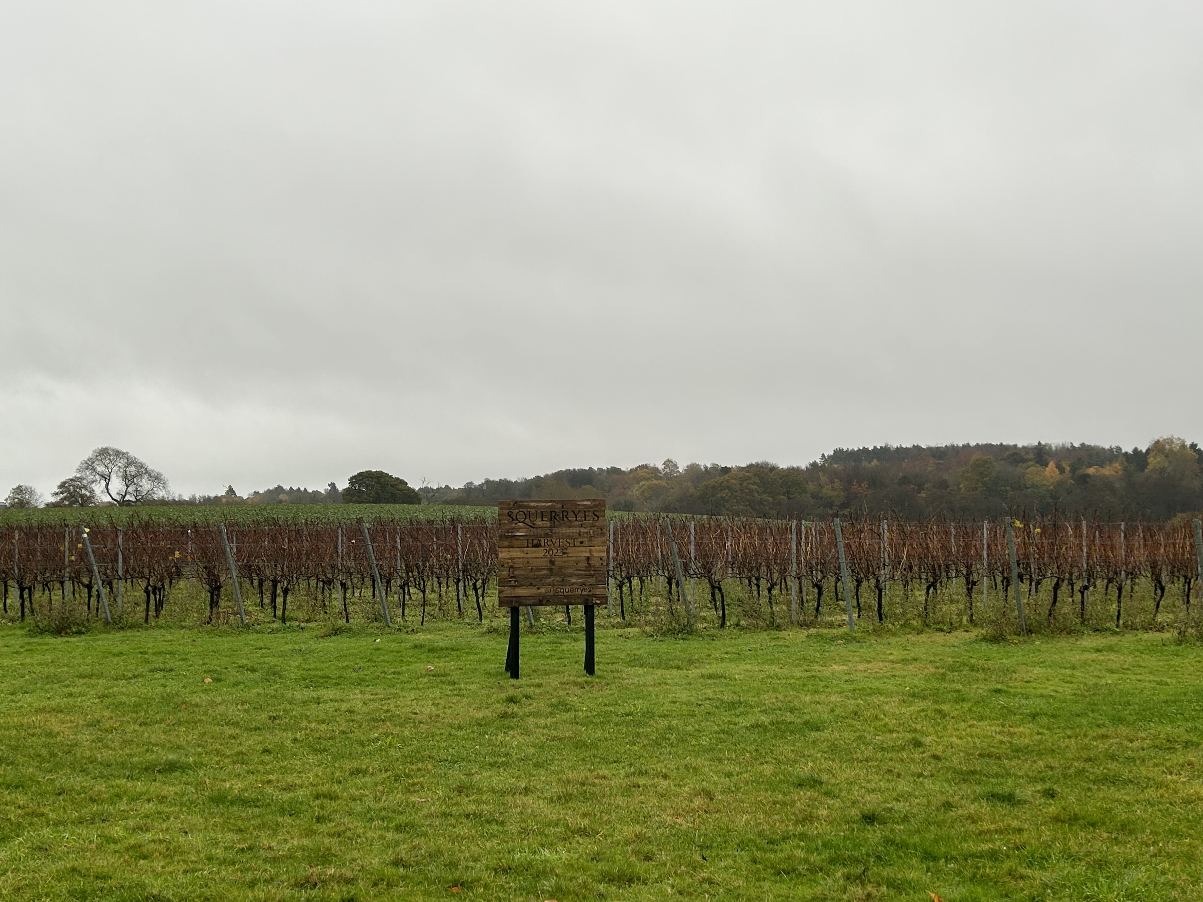 18th November 2023 – report by Rachel Morgan | Squerryes Winery parkrun