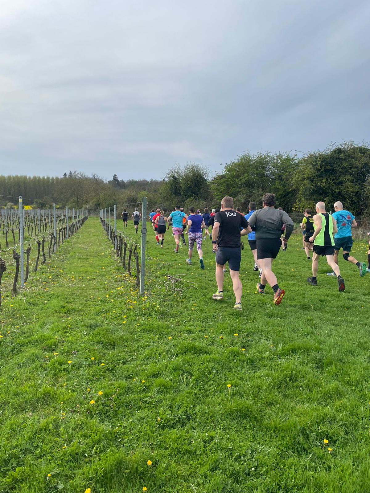 6th April 2024 – report and photos by Oliver Griggs | Squerryes Winery ...