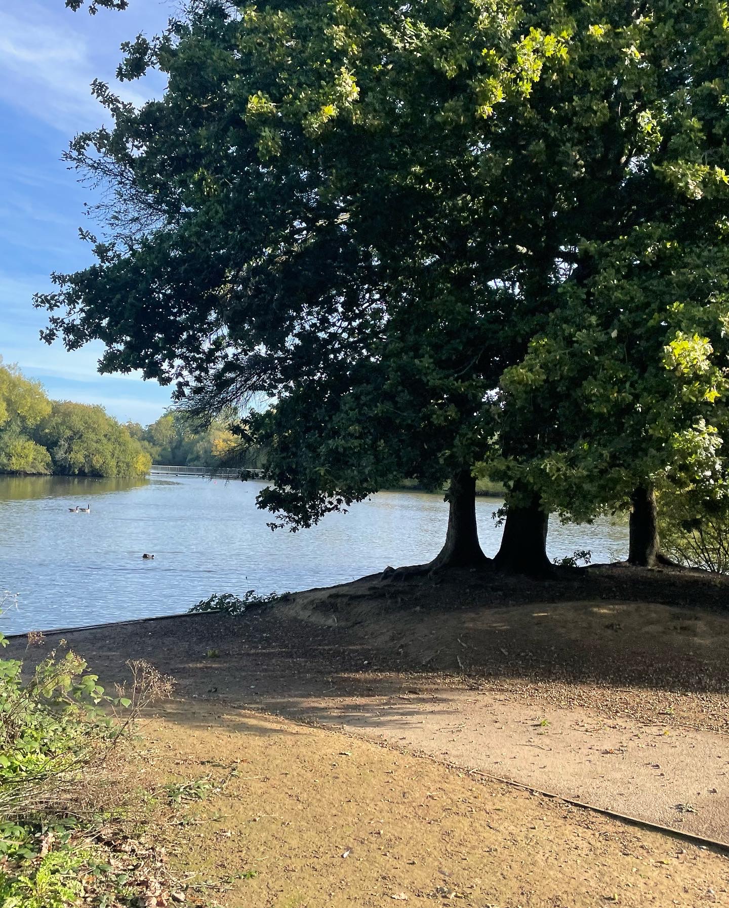 news | Ifield Mill Pond parkrun