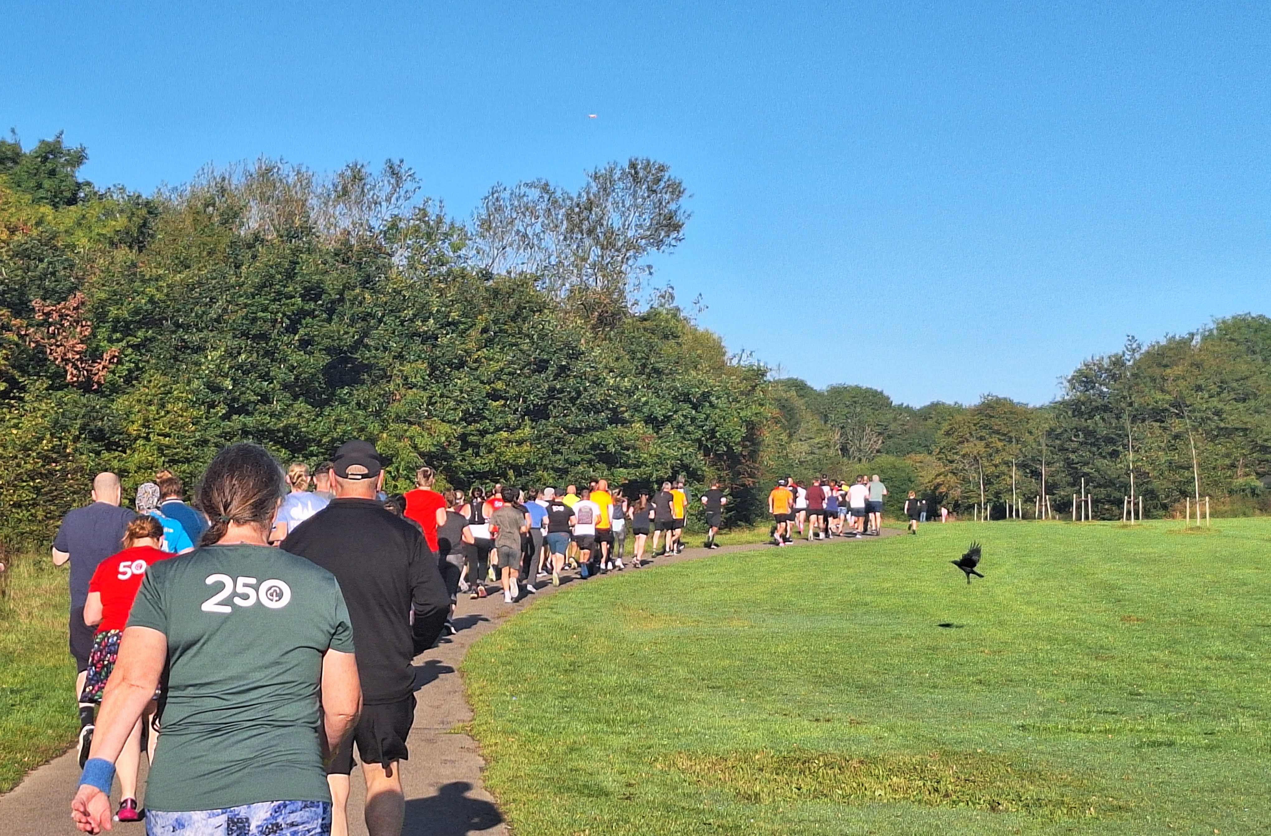 news | Ifield Mill Pond parkrun
