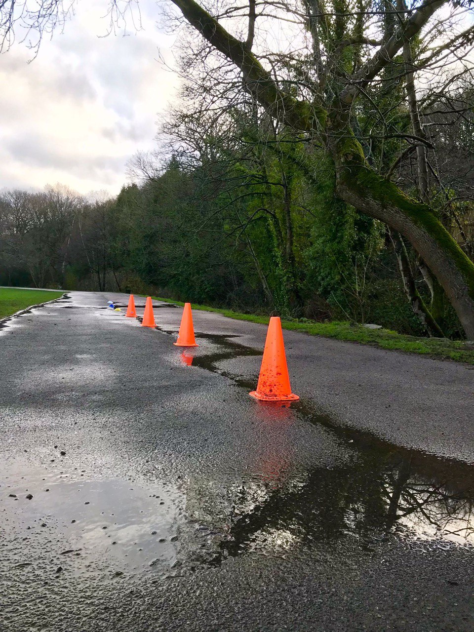 Millhouses parkrun #45 Run Report – 12 March 2021 | Millhouses parkrun