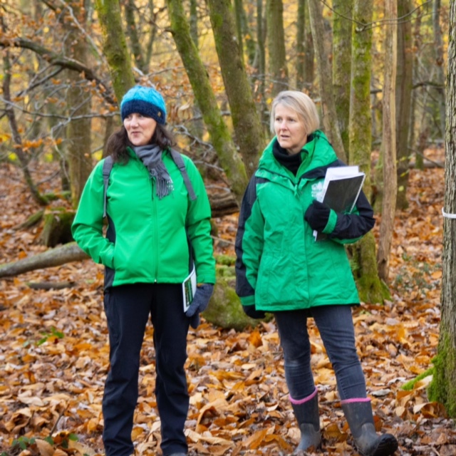 Forest of Dean parkrun event #648 25th November 2023 “Pride of Coleford” | Forest of Dean parkrun